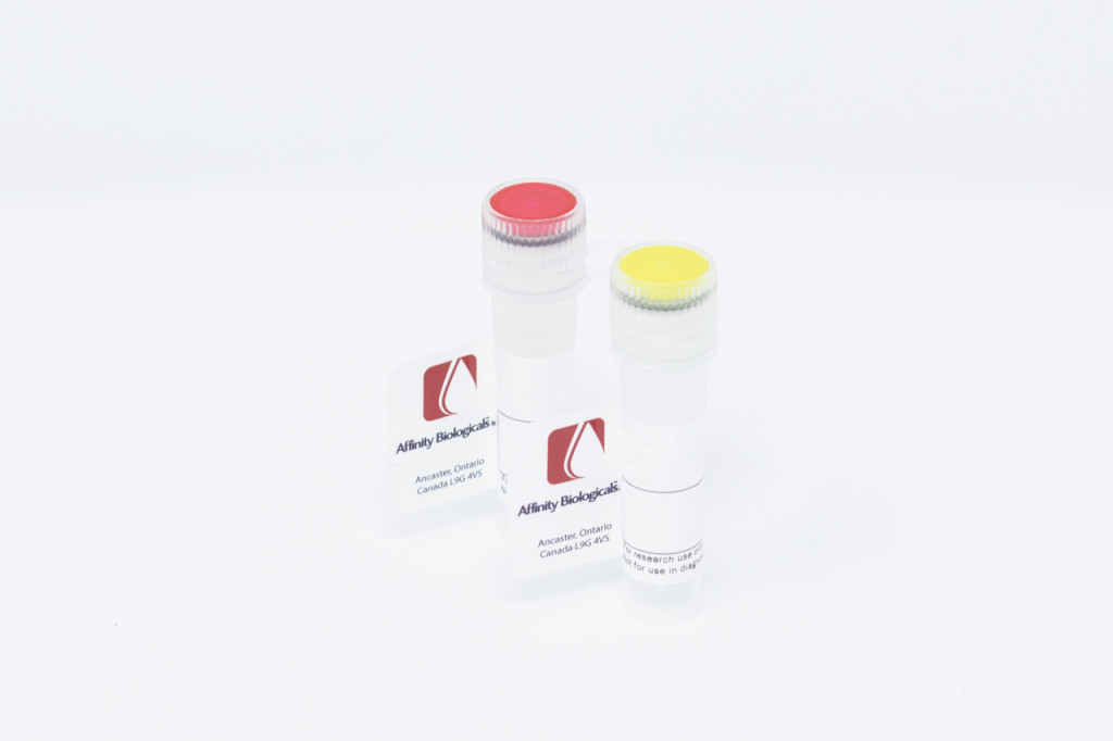 Factor X Inhibitor Plasma, 1ml vial - (Severe) - Frozen | Quadratech ...