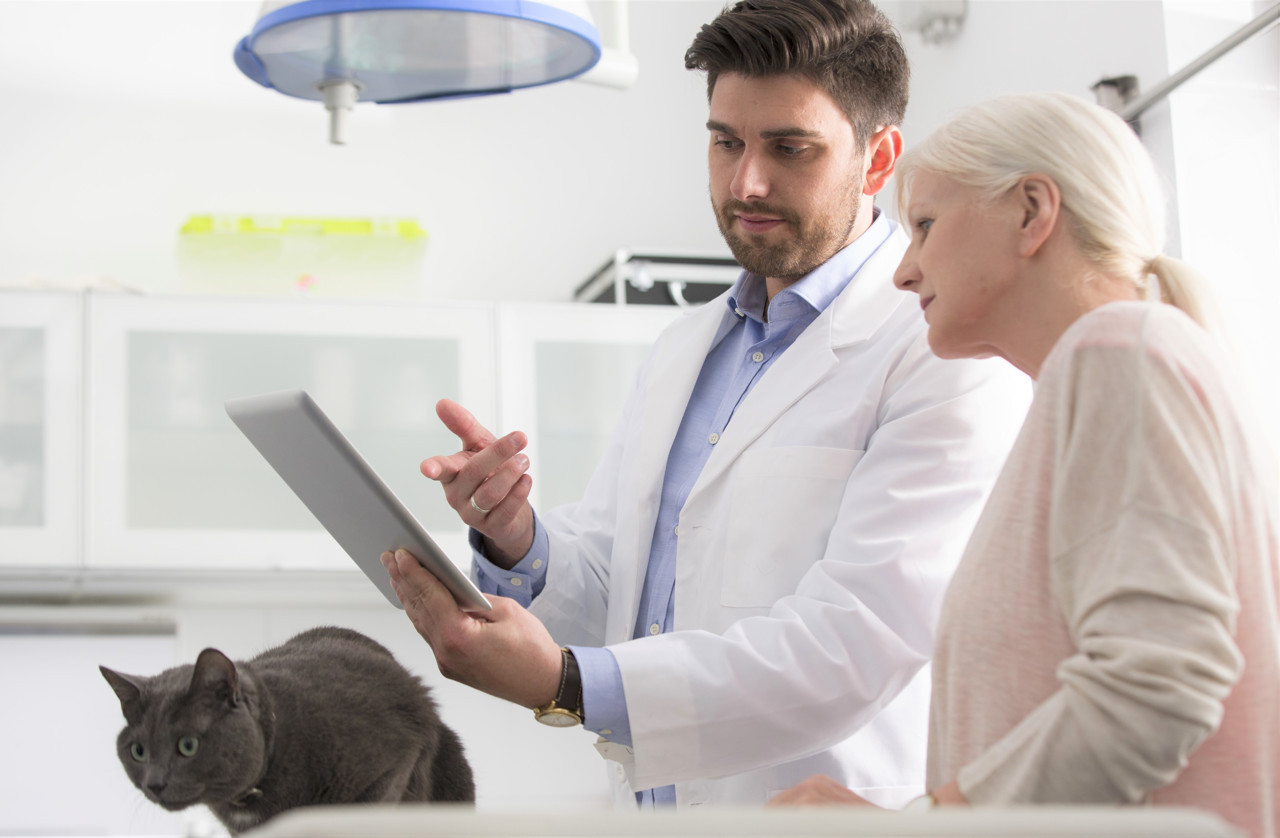 SMT-120V Automated Vet Biochemistry Analyser | Quadratech Diagnostics